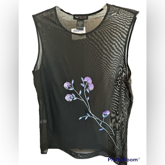 Express | Tops | Express Sheer Top With Cute Embroidery Detailing New ...
